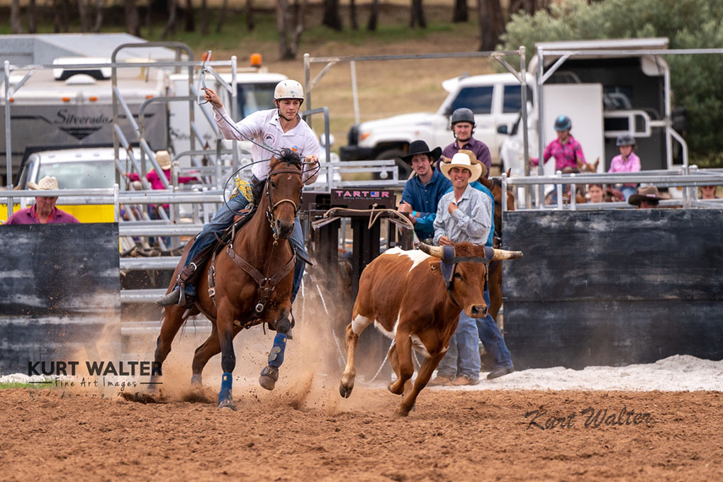 Barossa Rodeo - Southern Barossa